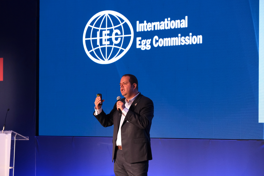 Marketing Excellence for Eggs | International Egg Commission