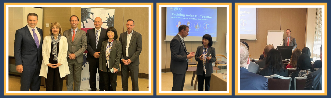 ‘Tackling Avian Flu Together’: WEO hosts event alongside World Health ...